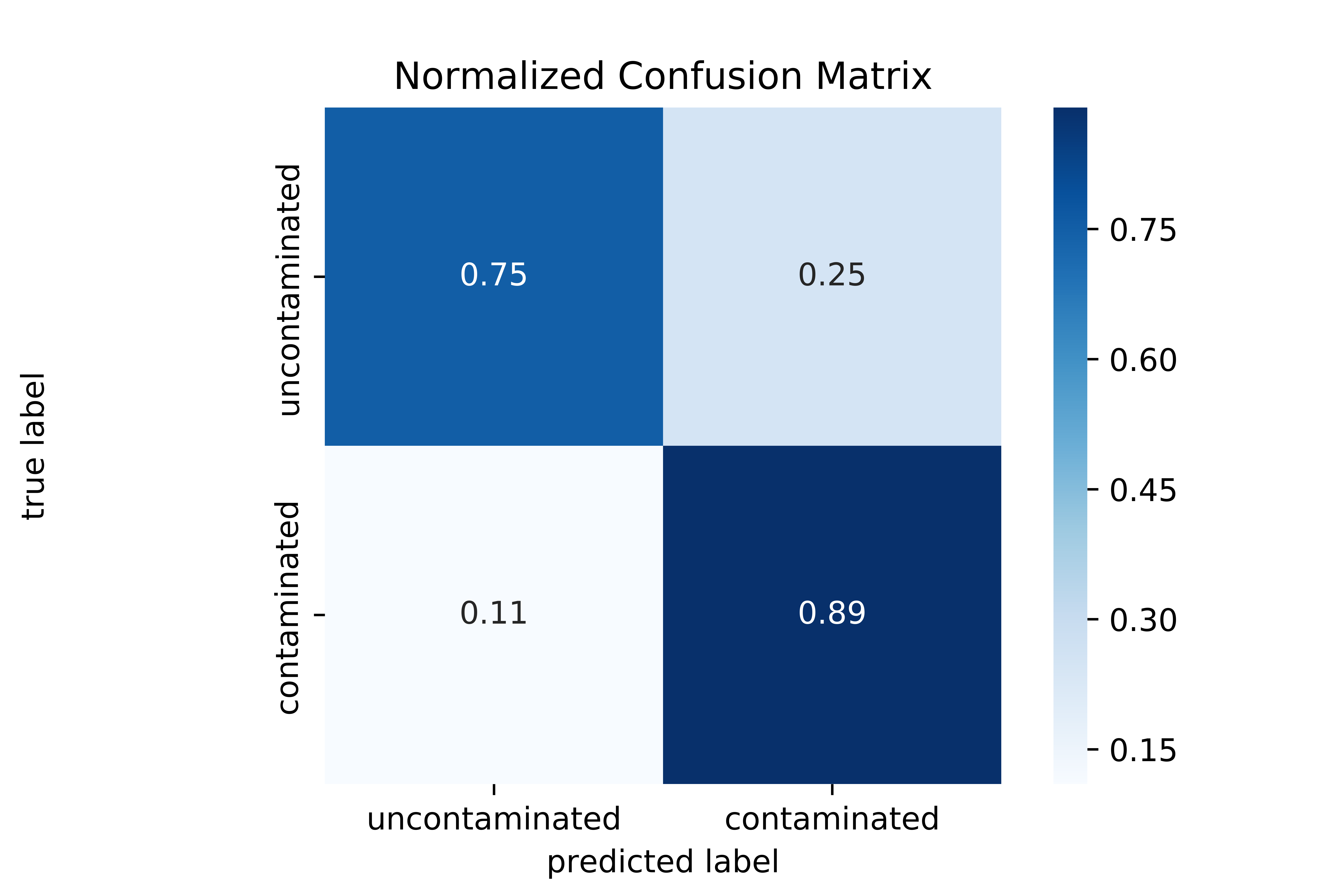 Katie Amberg-Johnson